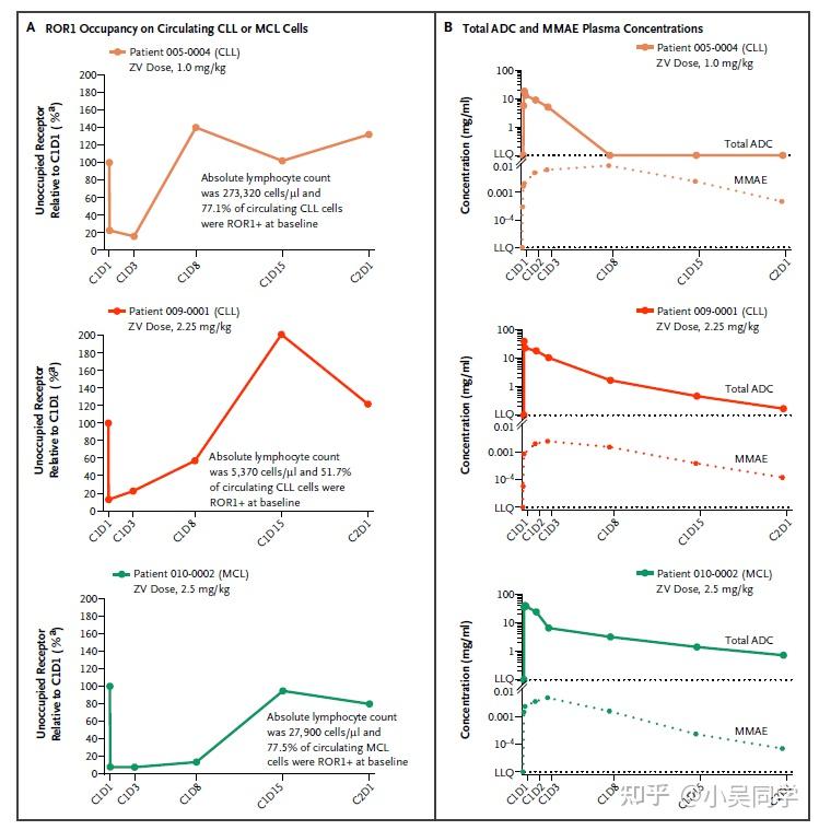 ROR1能否引领下一代免疫疗法热潮？ - 知乎