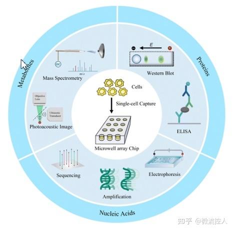 2023年开年Lap on a Chip期刊九大综述 - 知乎