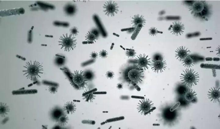 从超级细菌到超级真菌——人类抗感染的未来在于免疫 - 知乎