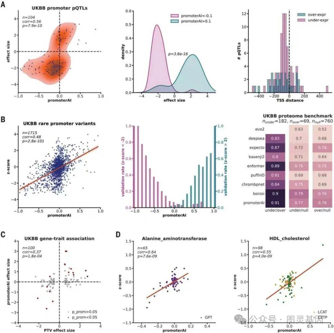 Science | 深度学习新突破！PromoterAI 精准捕捉启动子变异，为罕见病基因诊断添新力 - 知乎
