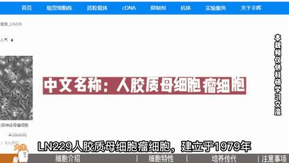 LN229细胞培养，人胶质母细胞瘤细胞培养攻略 - 知乎