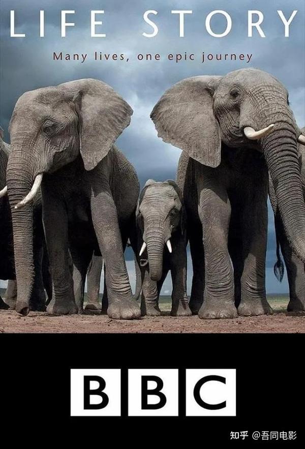 推荐BBC纪录片——生命故事（Life Story） - 知乎