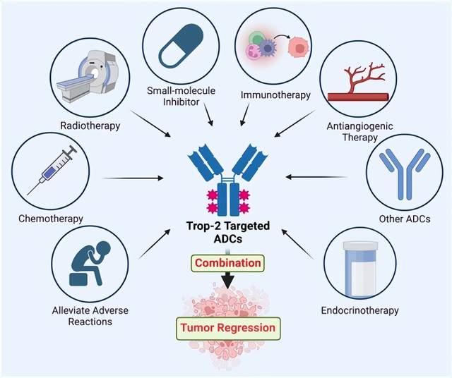 Trop2 ADC何以绝处逢生？与免疫疗法、小分子抑制剂、化疗等联用或成趋势 - 知乎