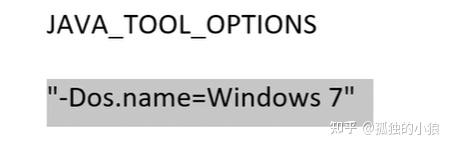 ERROR: "Invocation of this Java Application has caused an ...