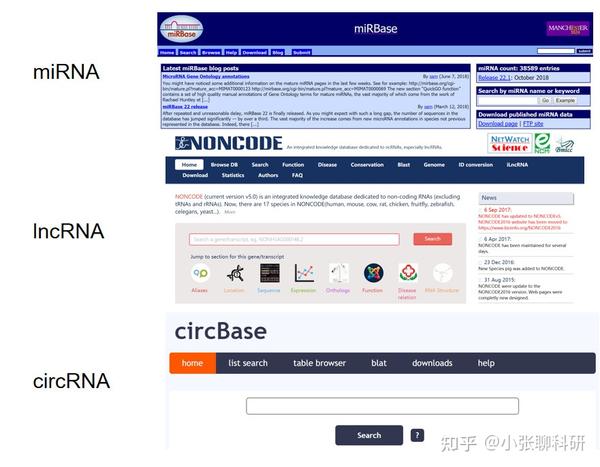 miRNA,lncRNA,circRNA都是RNA，那它们的研究方法一样吗？ - 知乎
