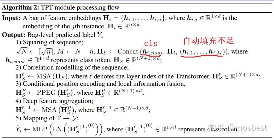 TransMIL: 基于 Correlated Multiple Instance Learning Transformer 用于 WSI ...