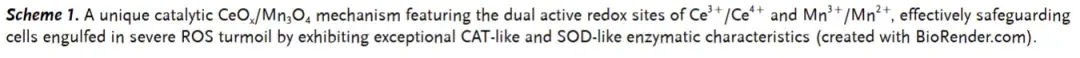 【Angew.Chem.Int.Ed.】Mn-Ce 共生：具有多个活性位点的纳米酶有助于基于电子转移和约束锚定的活性氧清除 - 知乎