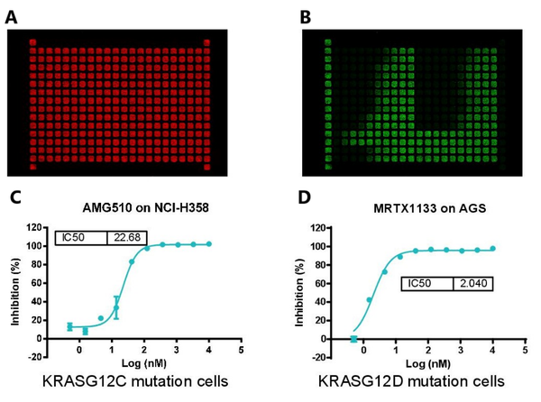 KRAS新药研发和检测平台 - 知乎