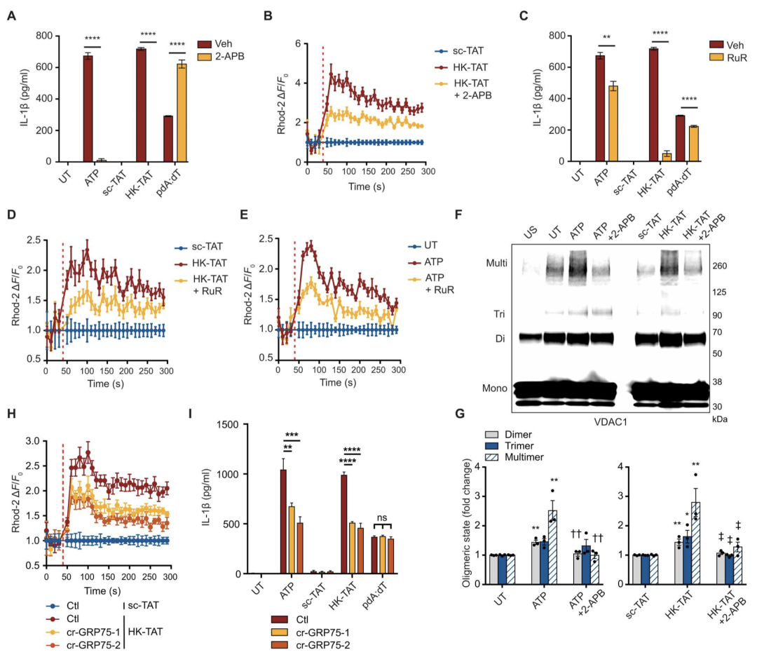 Science Immunology丨己糖激酶从线粒体解离促进 VDAC 寡聚化，从而促进 NLRP3 炎性体组装和激活 - 知乎
