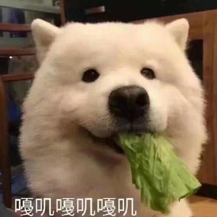 你们有哪些可爱的狗狗表情包吗？ - 知乎