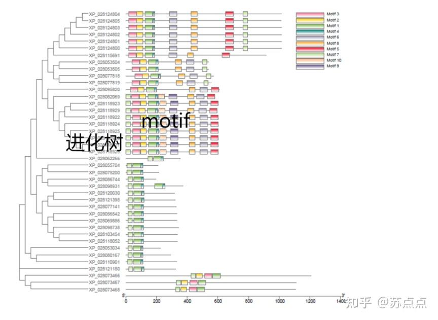 基于Pfam中hmm结构的基因家族分析 - 知乎