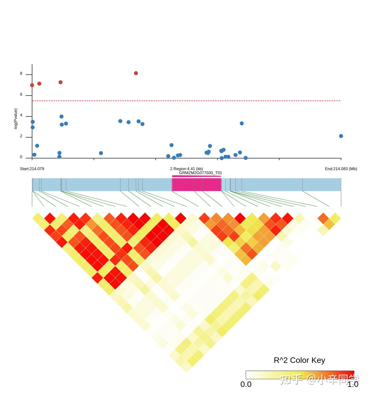 全基因组关联分析软件（GAPIT、GCTA、GEMMA、rMVP、TASSEL）运行代码 - 知乎