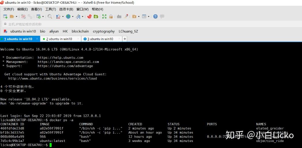 【WSL+Docker】新手Win10下的WSL Ubuntu18并使用Docker（两种方式） - 知乎