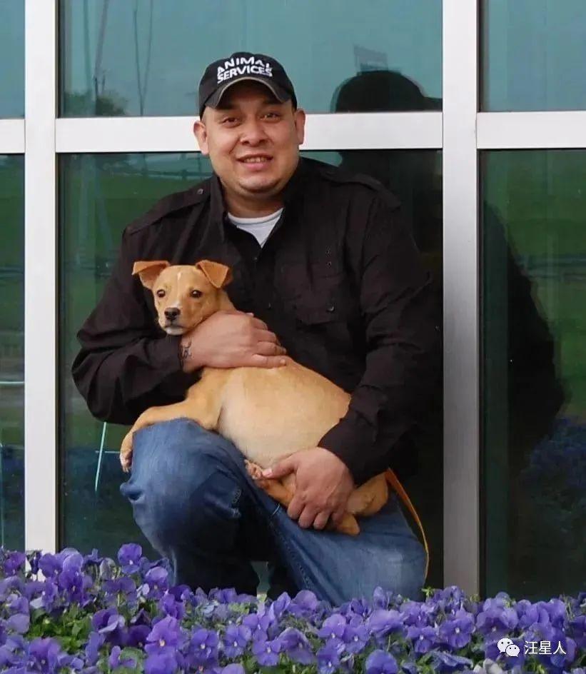 长得像二哈的救助站小哥，差点被爱心人士“领养”... - 知乎