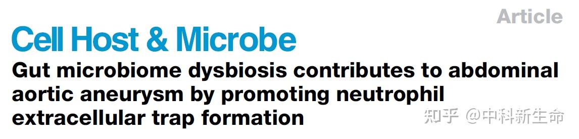 项目文章Cell Host Microbe（IF 31）| 齐鲁医院&山东省立医院利用多组学揭示肠道微生物群失调加重腹主动脉瘤 - 知乎