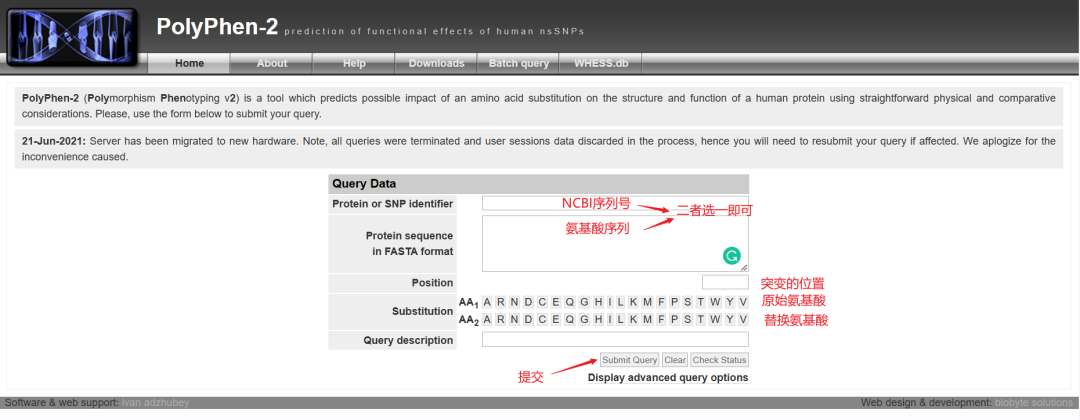 PolyPhen-2 预测突变对蛋白功能的影响 - 知乎