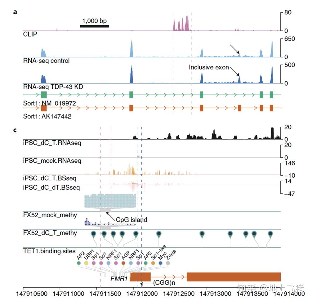 trackViewer包使用教程（持续更新） - 知乎