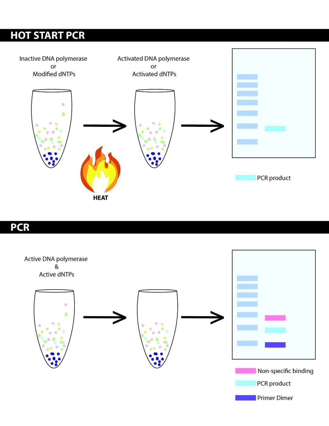 #微观探索人体奥秘# 019 PCR衍生技术 - 知乎