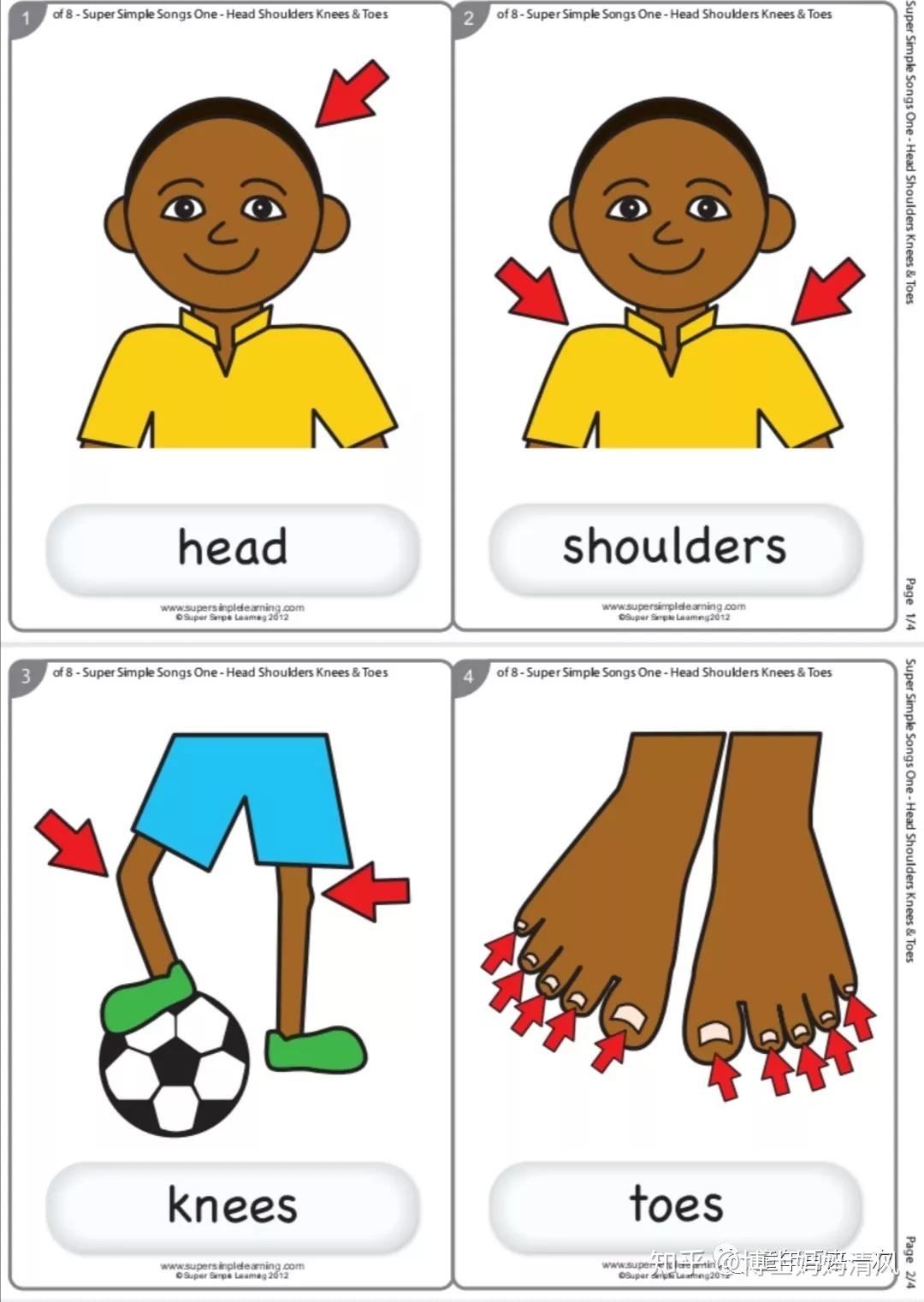 [玩转儿歌]Head Shoulders Knees and Toes - 知乎