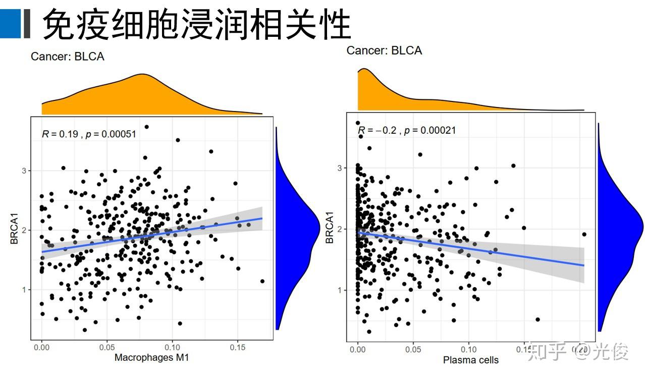 pan-cancer泛癌单基因文章套路(TCGA泛癌分析) - 知乎