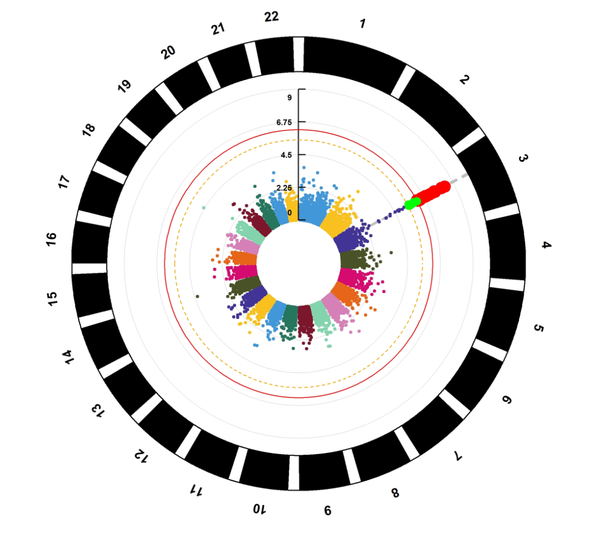 GWAS分析中可视化：qqman和cmplot - 知乎