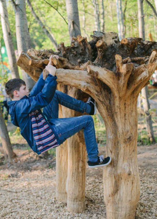 森林迷宫，蘑菇乐园 / burodruzhba - 知乎