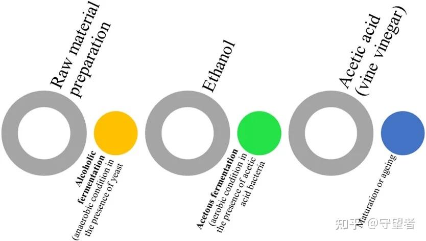 COMPR REV FOOD SCI F: 醋酸菌生理及其在醋和发酵饮料中的作用 - 知乎