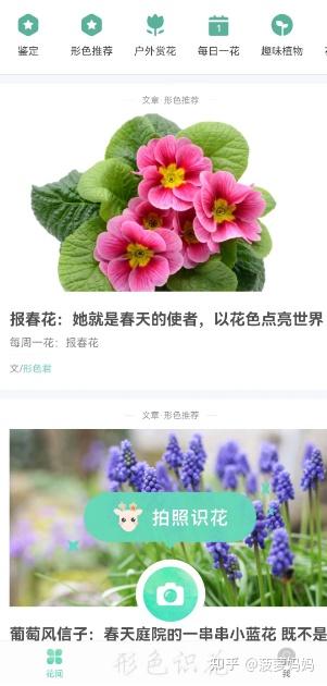 带孩子郊游,有哪些识别花鸟鱼虫的app推荐? 知乎