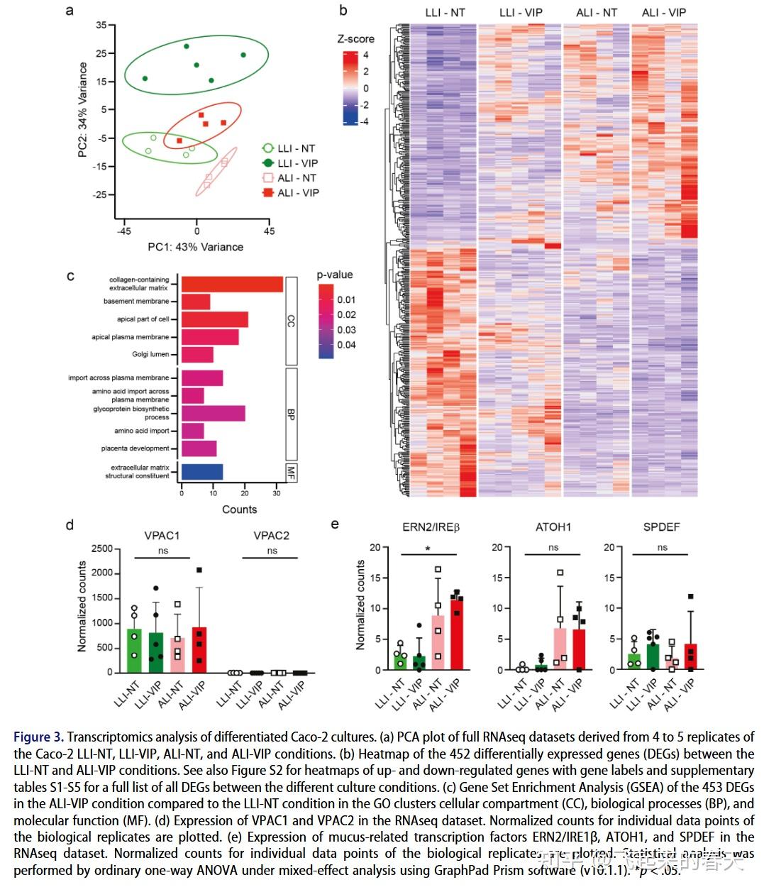 Gut Microbes|开发基于Caco-2的肠道粘液模型，以研究肠屏障特性和细菌-粘液互作 - 知乎