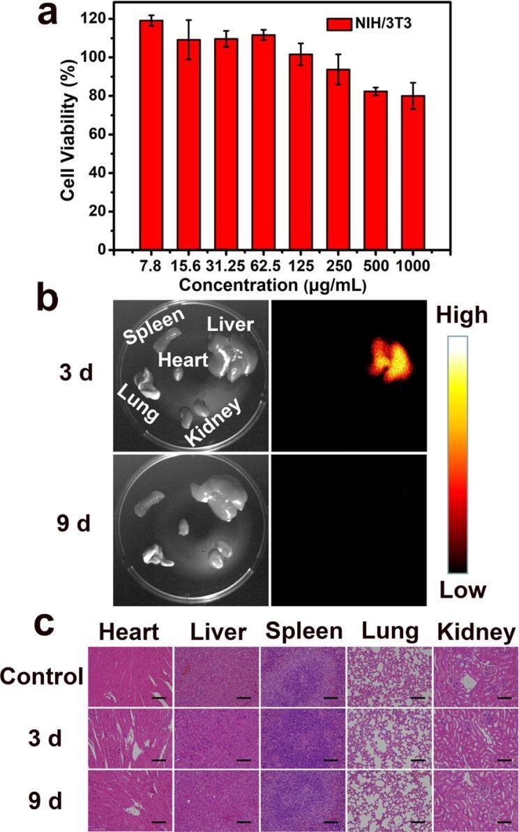 恒光讲堂｜NaGdF4纳米探针：用于靶向细菌的NIR-II光声成像 - 知乎
