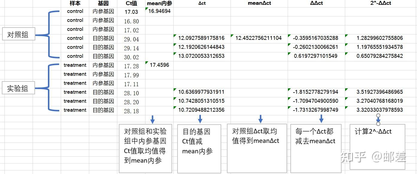 qRT-PCR(qPCR)相对定量、差异分析、结果可视化 - 知乎