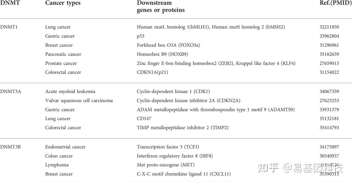 易基因｜不同DNA甲基转移酶（DNMT）在癌症发病机制中的作用： 深度综述 - 知乎