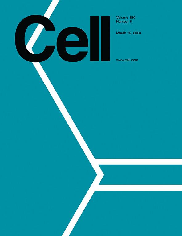 科学与艺术的结合！《CELL》100+张期刊封面鉴赏｜2020年篇 - 知乎