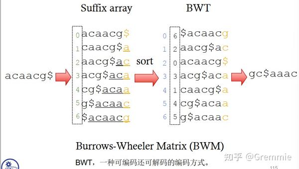 重测序数据分析（短序列的比对算法SNP/indel 和CNV/SV calling 方法） - 知乎