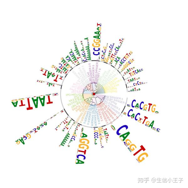 motifStack | 绘制motif序列结构图 - 知乎