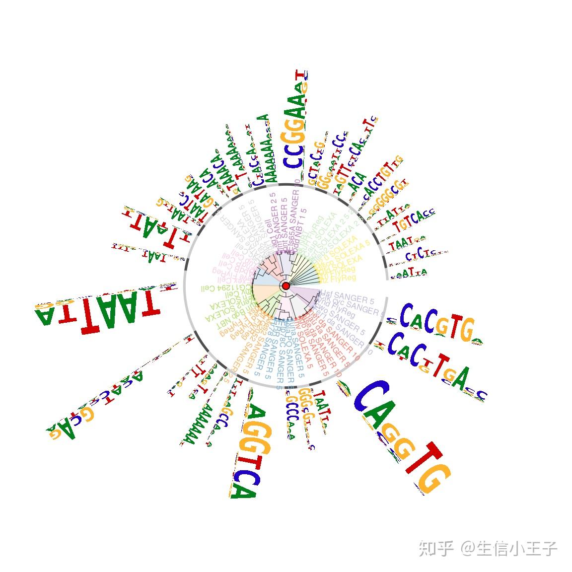 motifStack | 绘制motif序列结构图 - 知乎