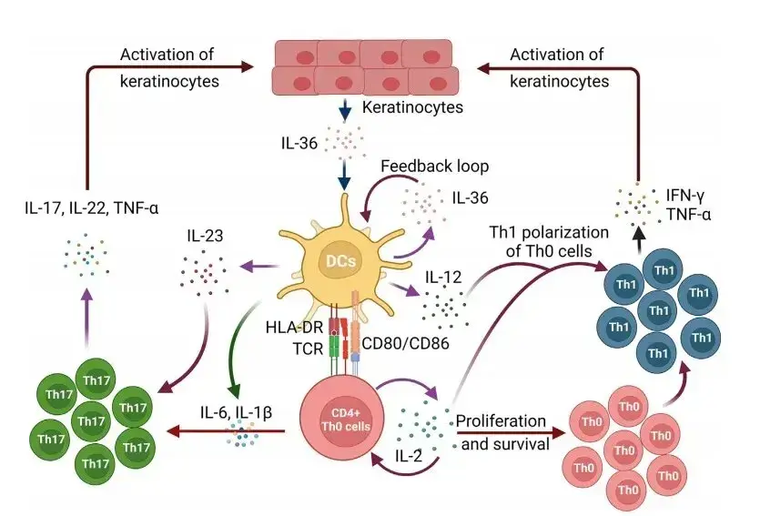 GPP治疗新突破：IL-36在自免和炎症性疾病中潜力几何？ - 知乎