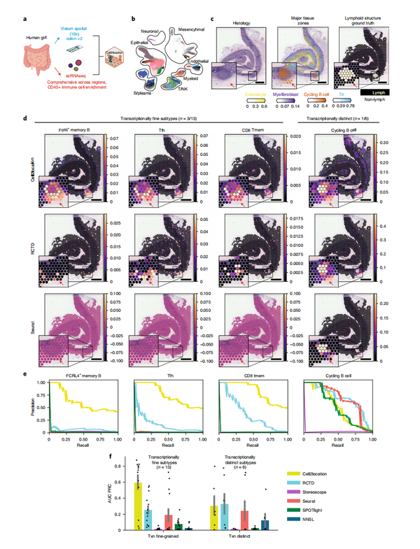 Nat Biotechnol | Cell2location : 贝叶斯算法联合分层分析绘制精细空间转录组图谱 - 知乎