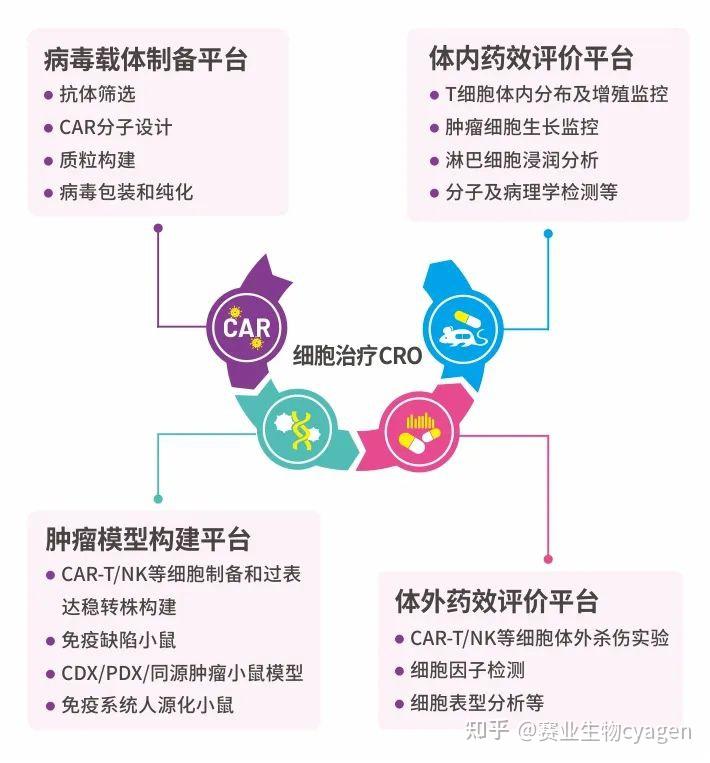 一文带你读懂CAR分子结构 - 知乎