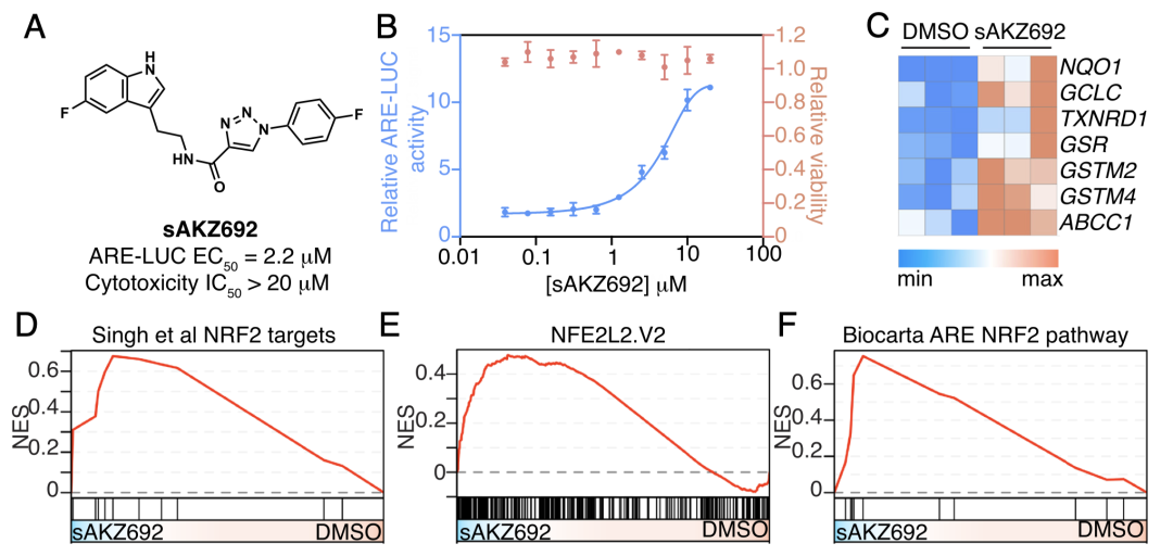 PNAS丨反应性糖酵解代谢物对 KEAP1 的 S-乳酰修饰激活 NRF2 信号 - 知乎