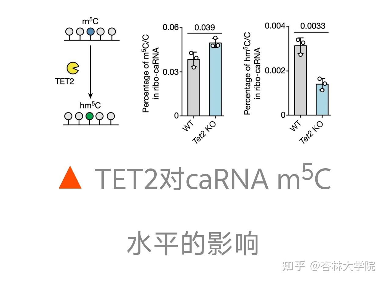 《自然》：科学家首次发现，抑癌蛋白TET2竟通过作用于RNA调节基因表达 - 知乎