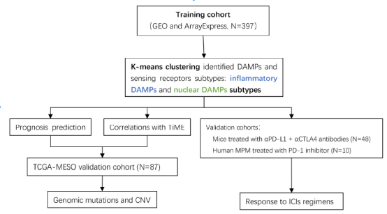 免疫原性死亡另类生信切入点--损伤相关分子模式（DAMPs）！疾病分型+实验验证的干湿结合思路！拿上基因集去复现吧~ - 知乎