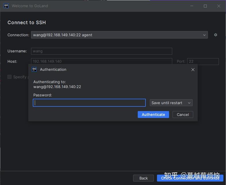 GoLand远程开发IDE：使用SSH远程连接服务器进行云端编程 - 知乎
