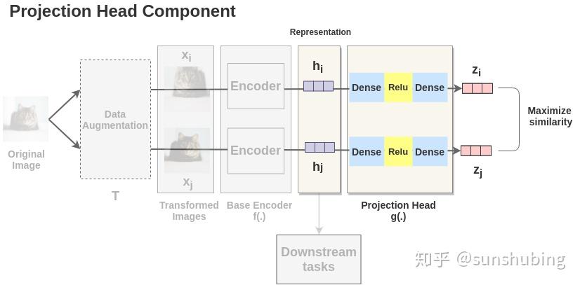 图解SimCLR框架 - 知乎