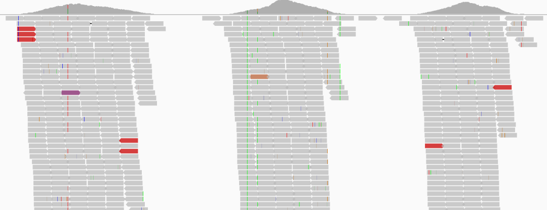 基因组浏览器IGV的安装和图形解读 - 知乎
