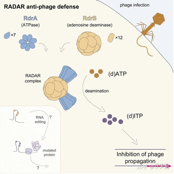如何制作高质量的图文摘要（Graphical Abstract），建议收藏！ - 知乎