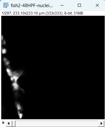 ImageJ-3D可视化方法 - 知乎