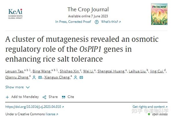 The Crop Journal | 中国农科院资划所揭示OsPIP1基因簇参与水稻耐盐胁迫的生理应答机制 - 知乎