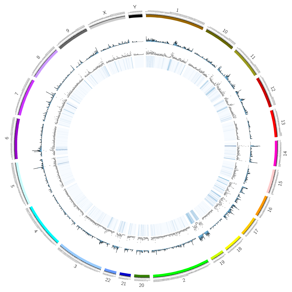 可视化指南 | 用Circos图展示复杂的基因组特征与多样化数据 - 知乎