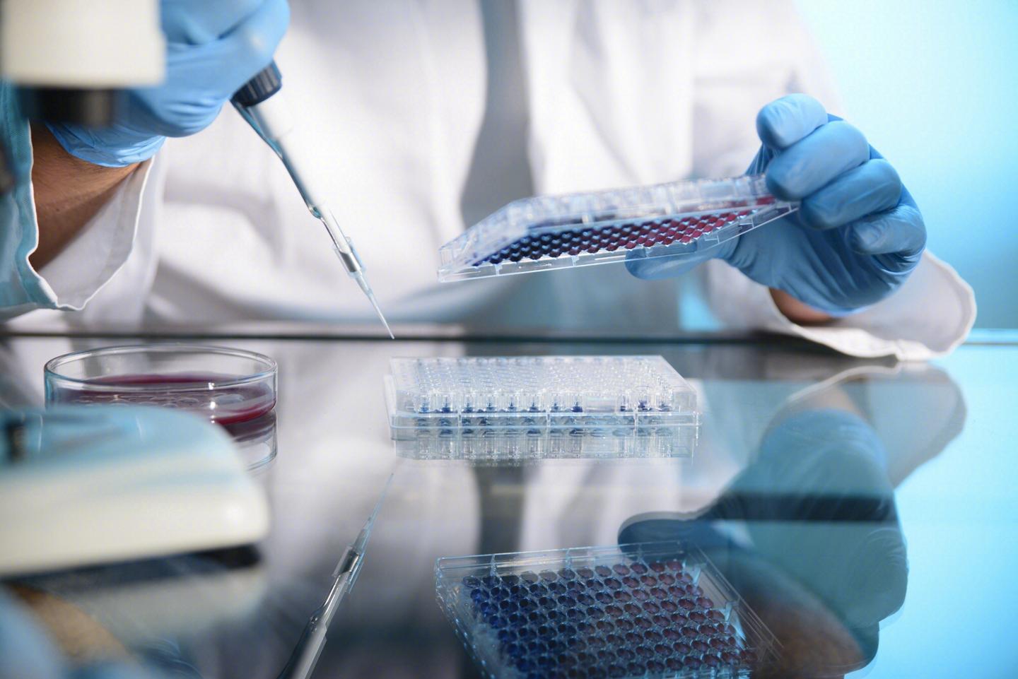 EMSA | 一文解决你 80% 的实验细节问题 - 知乎